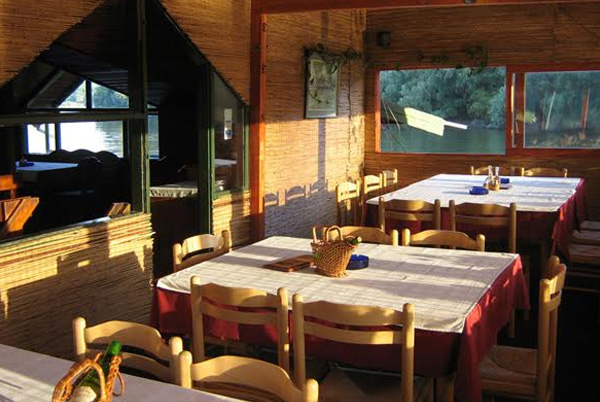 GOSTIONA SPLAV DUNAVAC FUTOG | IPA Regija Novi Sad GOSTIONA SPLAV ...